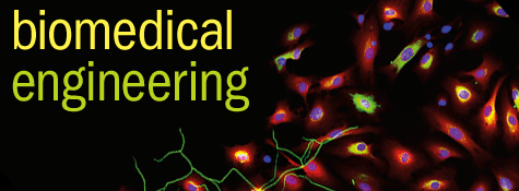 Biomedical Engineering, Eligibility Criteria For Biomedical Engineering